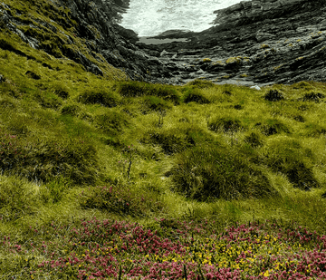 A place for inspiration – Rathbornes